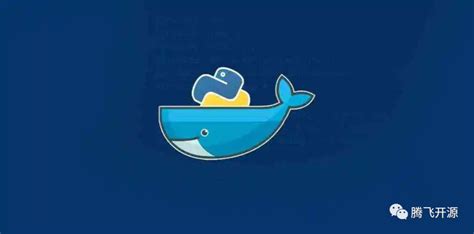 使用docker部署python网站 知乎