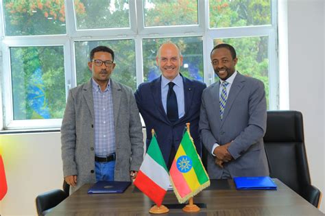 Aau Addis Ababa University