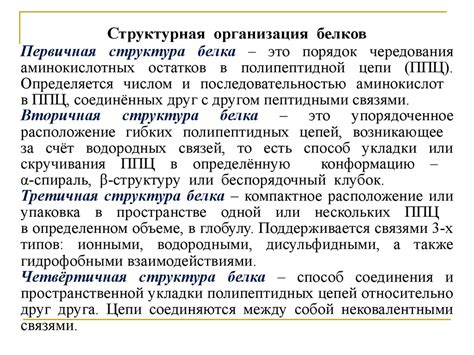 Белки Теории строения белковой молекулы Тема 2 презентация онлайн