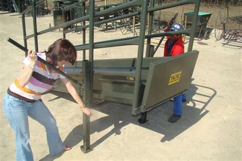 TLR1 Cattle Loading Ramp Static Tal Tec