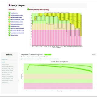 Quality Analysis Of Fastq Sequences A FastQC Quality Report For Download Scientific Diagram