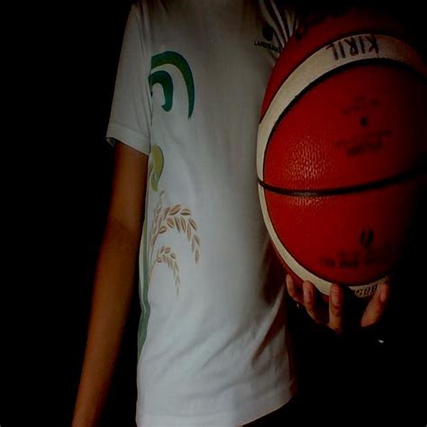 Basketball Object Detection Dataset By Thesis Physics