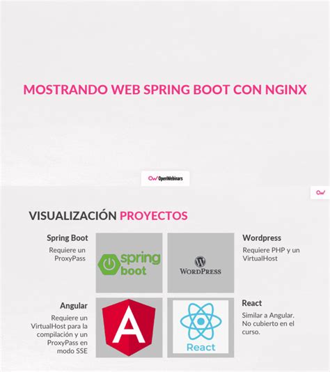 45 Mostrando Web Spring Boot Con Nginx Pdf