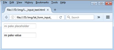 Fungsi Tag Input Type Text Dan Type Password Beserta Cara Penggunaannya