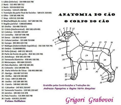 Nuevos Codigos Grabovoi Artofit