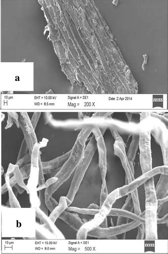Field Emission Scanning Electron Microscopy Of A Raw Opf B Opf Pulp