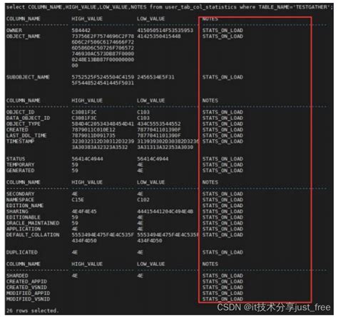 Oracle 19c 统计信息详解auto Optimizer Stats Collection Csdn博客