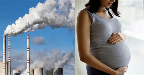 Air Pollution S Impact On Male Reproductive Health Revealed