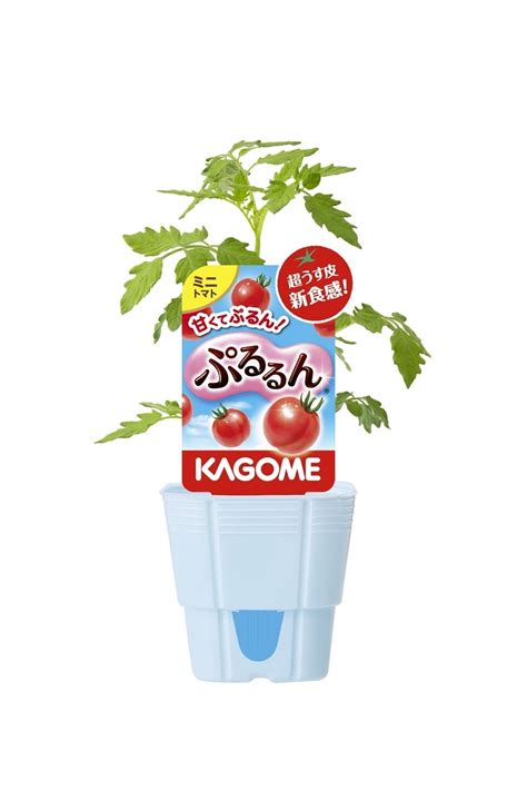 ゴールデンウィークにあわせて四国水族館オリジナル商品が登場！ トラベルスポット