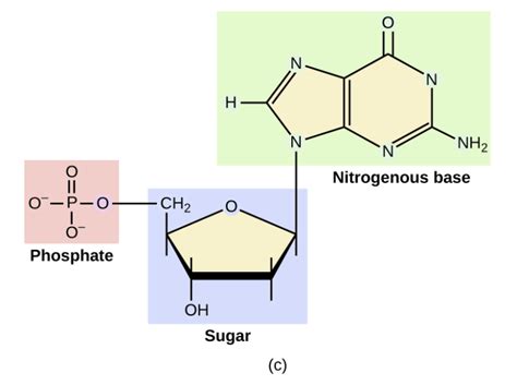 10 2 Functional Groups Chem 1114 Introduction To Chemistry