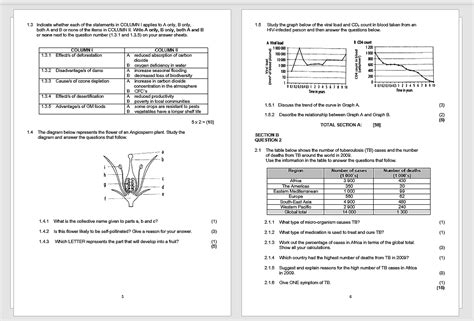 Life Science Question Papers Grade 11 Life Orientatio