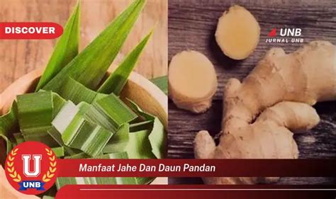 Temukan 6 Manfaat Jahe Dan Daun Pandan Yang Bikin Kamu Penasaran
