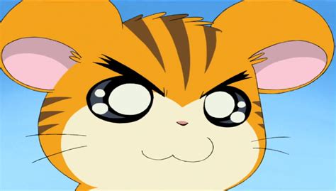 Hamtaro Stan