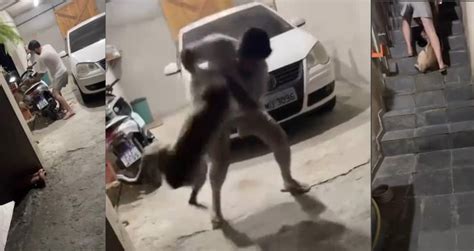 Cenas fortes homem agride cão mais de vezes e o joga no chão Metrópoles