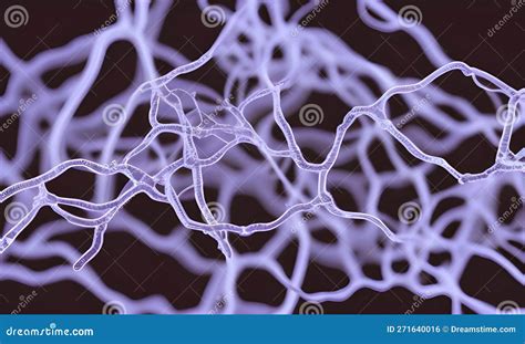 Model Of Nerve Cell With Dendrites Macro View Of Neuron Illustration