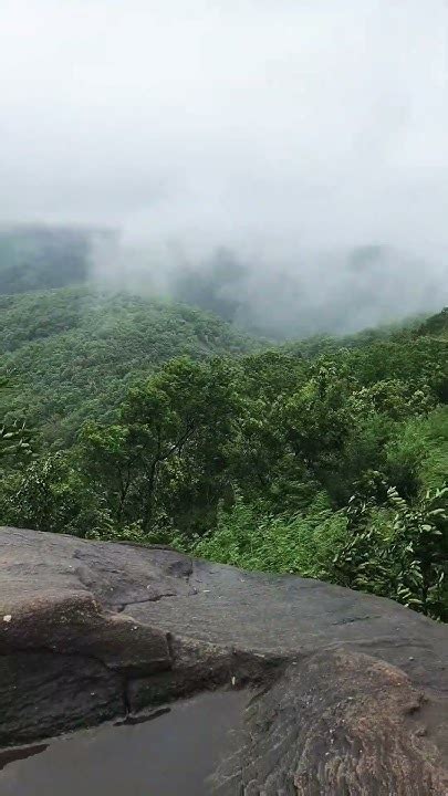 Amazon View Point Youtube