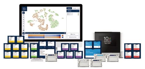 单细胞测序服务 生基赛尔