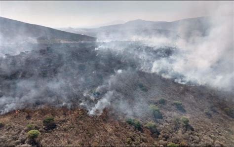 Combaten Incendio En El Cerro Totoltepec En Tlajomulco El Informador
