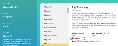 how to use the latest filebrowser help caddy community