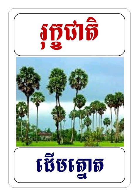 សម្ភារ ឧបទេស សម្ភារ ឧបទេស និងការតុបតែងថ្នាក់រៀន