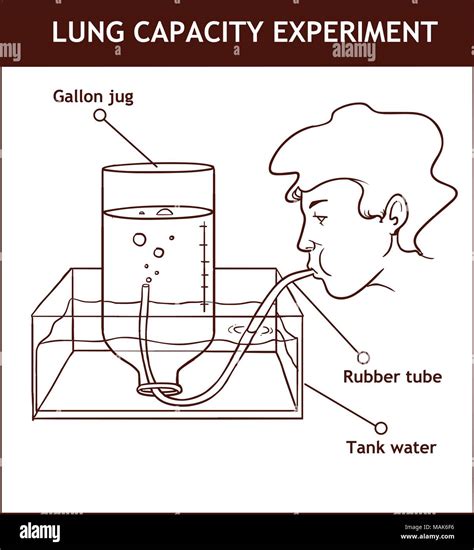 Measure Lung Capacity Stock Vector Images Alamy