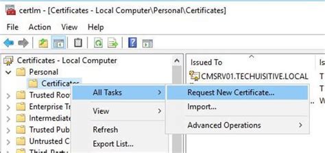 Sccm Cmg Setup Guide Part 2 Issue Enroll And Export Server