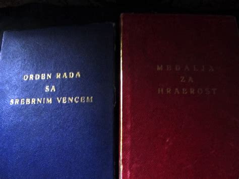 Šta ću Biti Kad Porastem Samo Lepa Sećanja