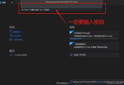 关于vscode连接远程服务器时无法输入密码的问题vscode连接远程服务器输入不了密码 Csdn博客