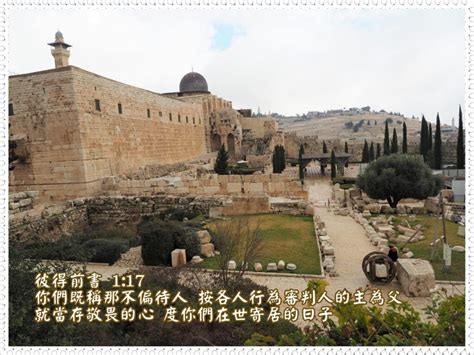 旧约圣经中的约系列之五迦南巴勒斯坦之约 我灵飞翔