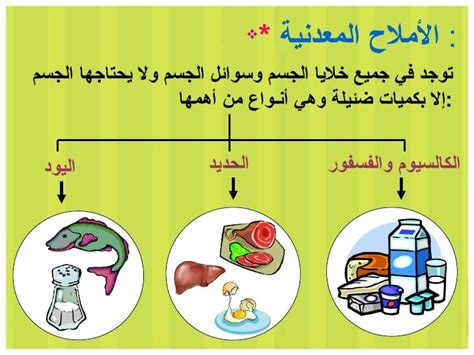 مكونات الغذاء