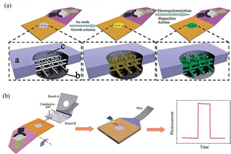 Schematic Representation Of The A Fabrication Procedures And B Assay