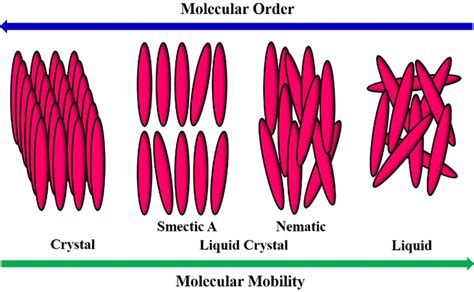 Degrees Of Molecular Ordering And Mobility In The Crystal Liquid Download Scientific Diagram