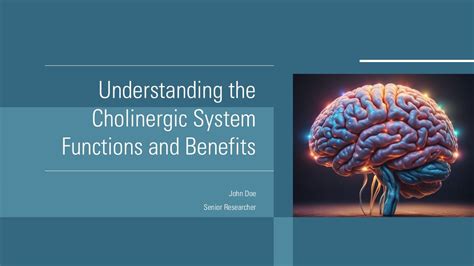 Understanding The Cholinergic System Functions And Benefits Ppt