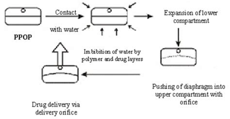 Osmotic Controlled Release Oral Delivery System An Overview