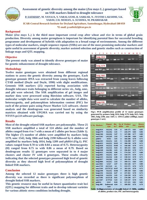 Pdf Isda International Icra 2022