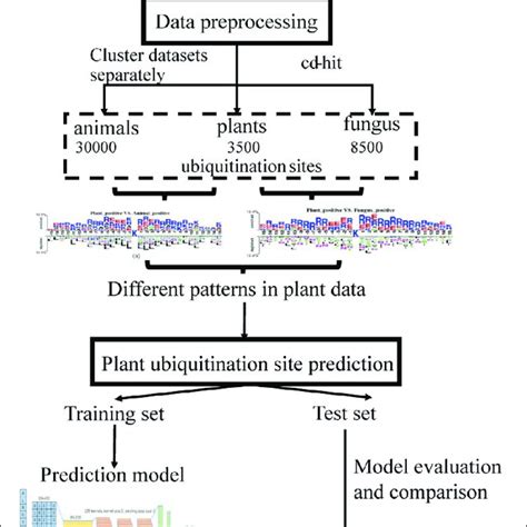 Schematic Diagram Of The Workflow For This Study Download Scientific Diagram