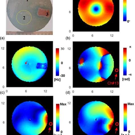 Reconstructed Proton Density And Its Effect On The Accuracy Of EP