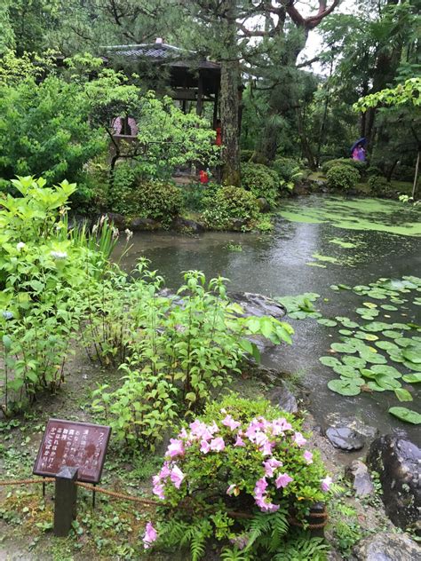 平安神宮6月の神苑（しんえん）無料開放で美しい菖蒲が見れます【京都：東山】 暮らしに馴染む旅