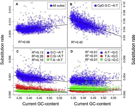 Correlations Between Substitution Rates And The Current Gc Content In