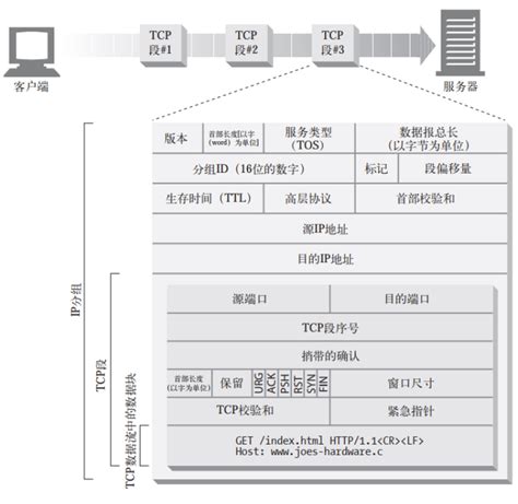 Tcp数据传输与性能 Tcp传输 大文件 中 确认 Csdn博客