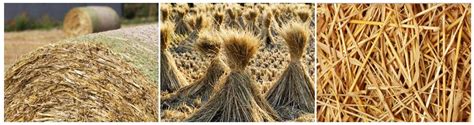 Build A Straw Pellet Production Line To Start Pellet Business With Low Cost