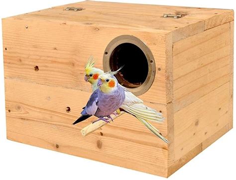 Cockatiel Bird Breeding Box