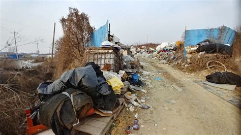 세종시 쓰레기 무단투기 몸살 충남일보