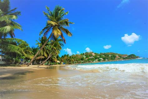 Saint Lucia Beach House Vacation Rentals Airbnb