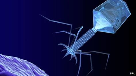 Phage Therapy For C Difficile Microbiology