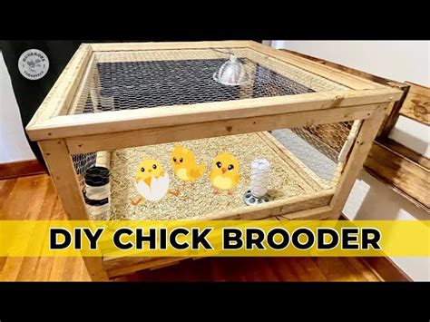 Chicken Brooder Easy Free Diy Chicken Brooder Plans Easy Plans For A