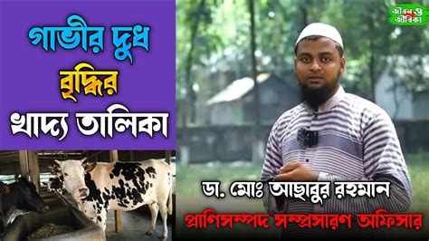গাভীর দুধ বৃদ্ধির উপায়। গাভীর দুধ বৃদ্ধির খাদ্য তালিকা। Gavir Dudh
