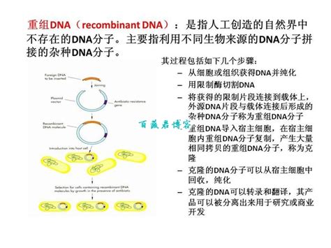 转基因育种技术：从目的基因分离到转基因植物新品种的获得 百蔬君
