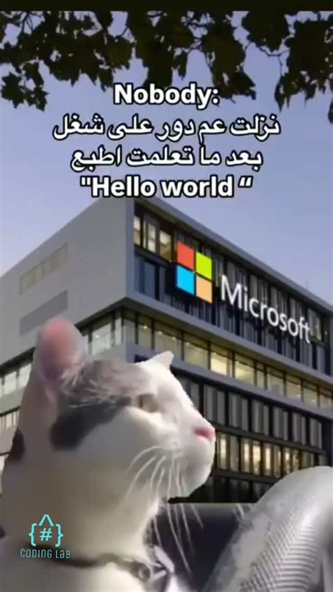 coding lab ‎نعم تستطيع 💪🔥 linux coding لينكس برمجه برمجة ai