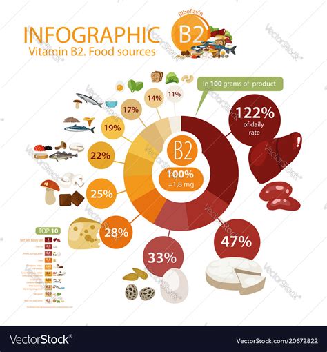 Vitamin B Riboflavin Royalty Free Vector Image